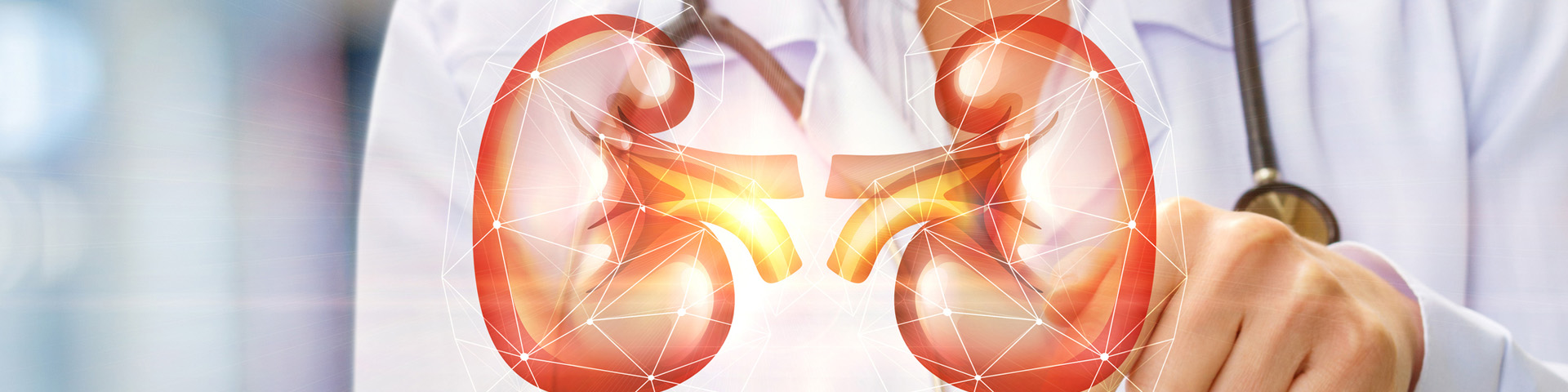 Urologija » Zdravstveni centar HEALTH EXPRESS - Banja Luka, BiH